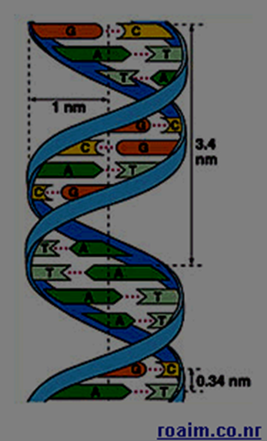 ADN-ul uman conţine gene extraterestre – lumina_adevărului
